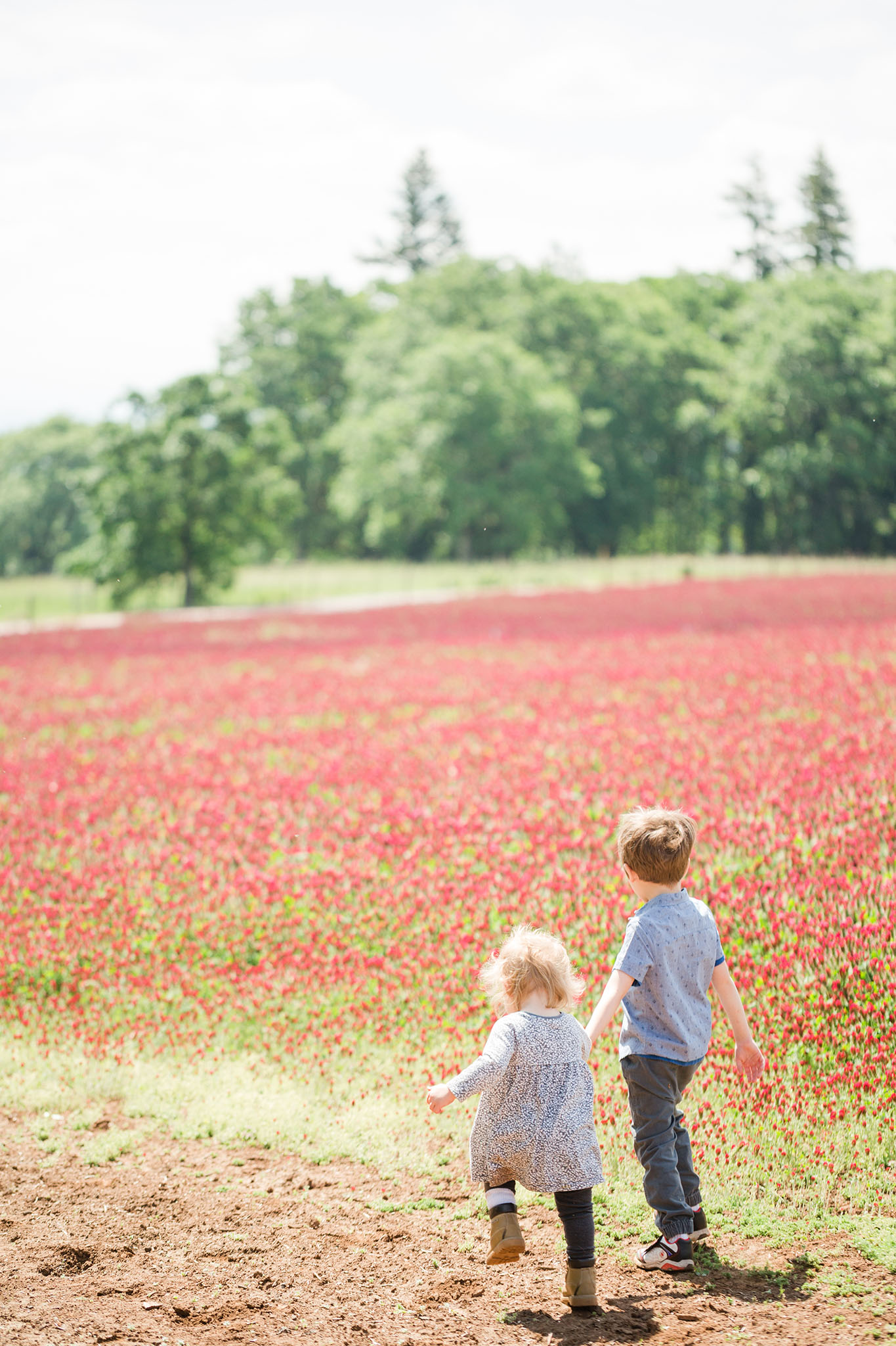 Wanderlust Wednesday: Bob & Crystal Rilee Park in Newberg, Oregon ...