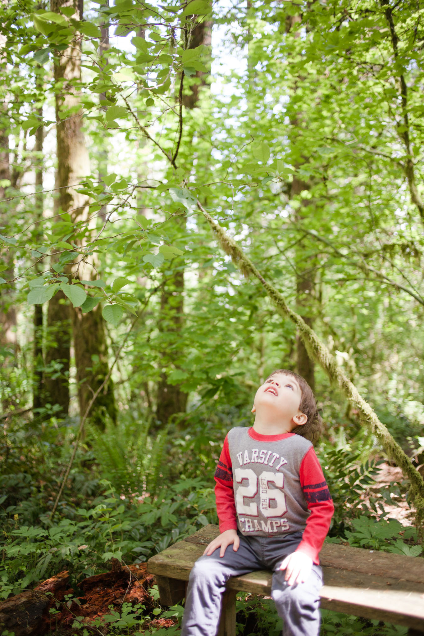 Wanderlust Wednesday: Magness Tree Farm in Sherwood, Oregon | Samantha ...