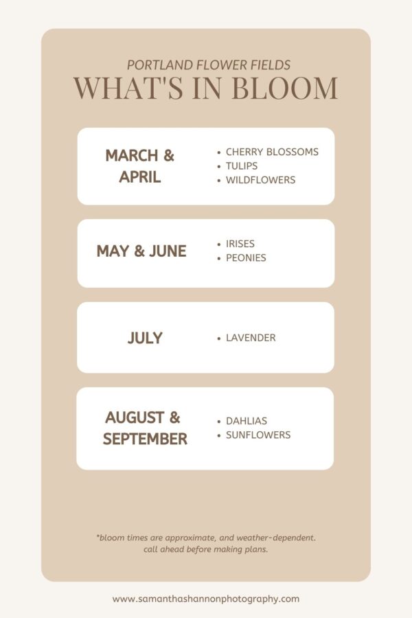The Ultimate Guide to Flower Fields Near Portland, Oregon | Samantha ...