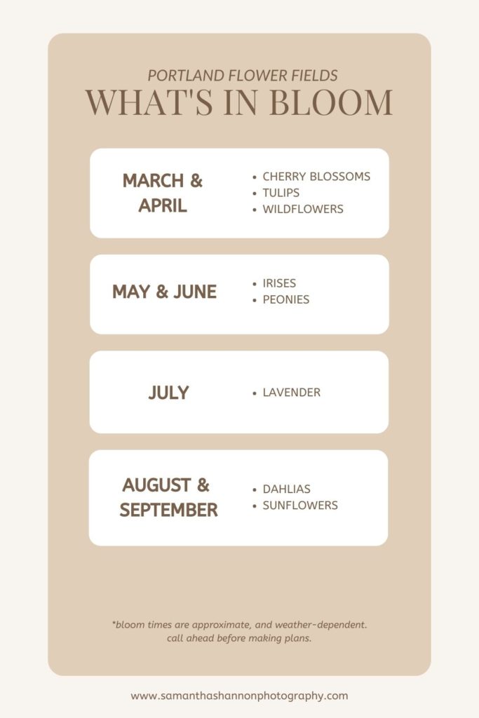 The Ultimate Guide to Flower Fields Near Portland, Oregon | Samantha ...