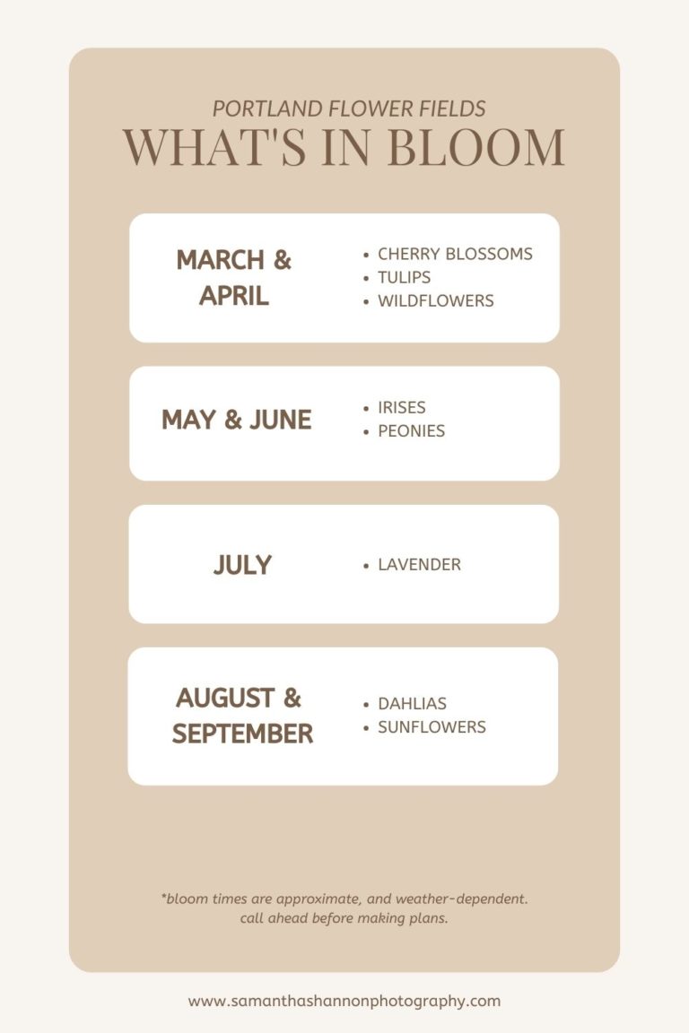 The Ultimate Guide to Flower Fields Near Portland, Oregon | Samantha Shannon