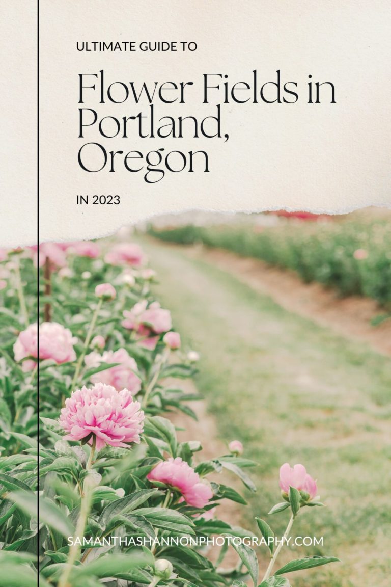 The Ultimate Guide to Flower Fields Near Portland, Oregon | Samantha ...