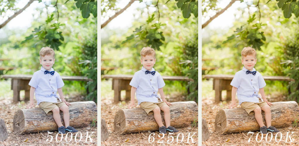 How to Set Kelvin White Balance: Manual Mode Photography