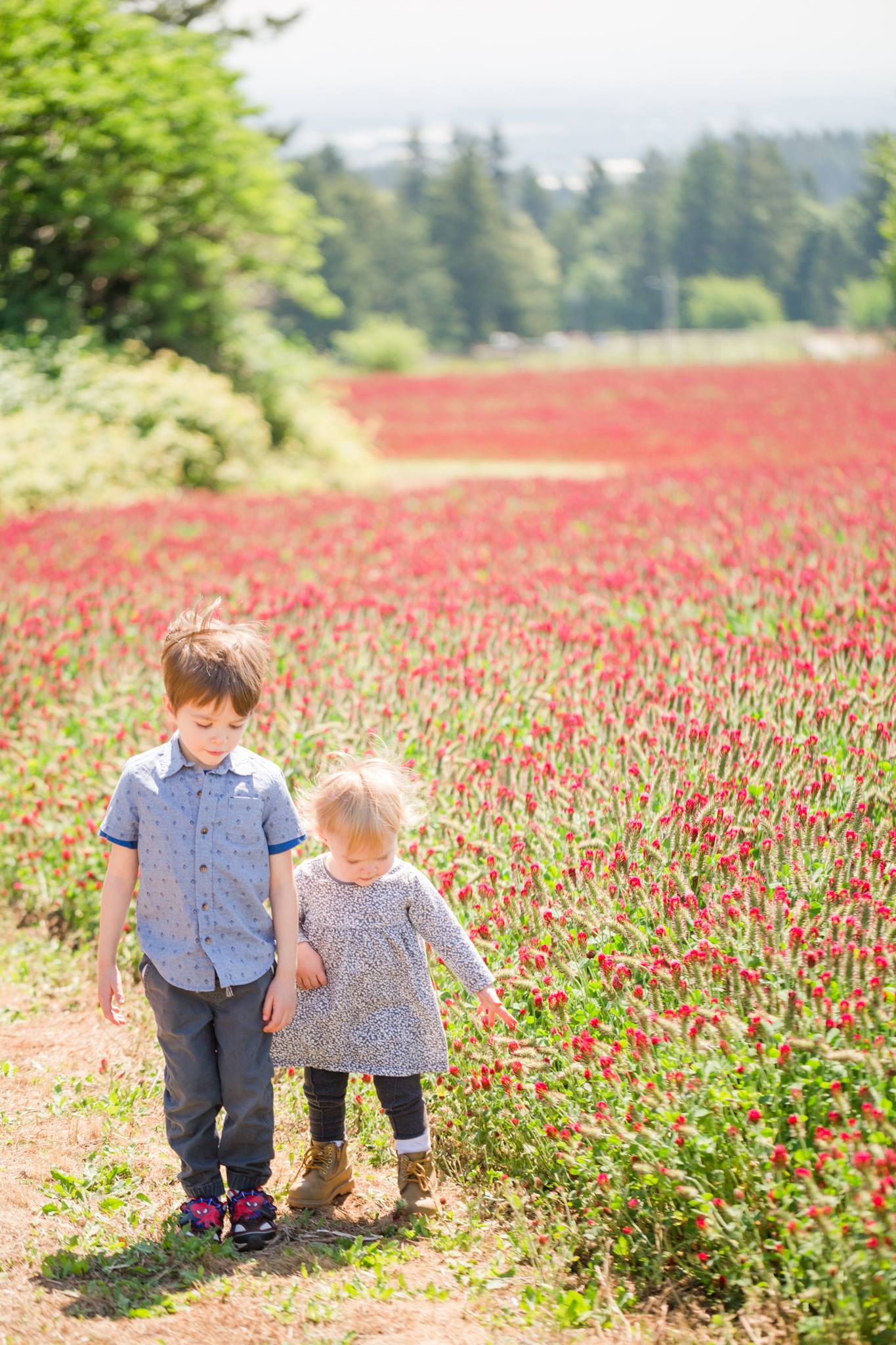 The Ultimate Guide to Flower Fields Near Portland, Oregon | Samantha ...